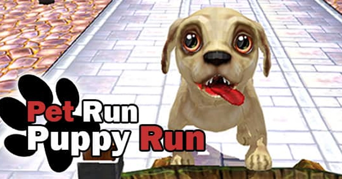 Pet Run Puppy Run - Free online games on Bgames.com!