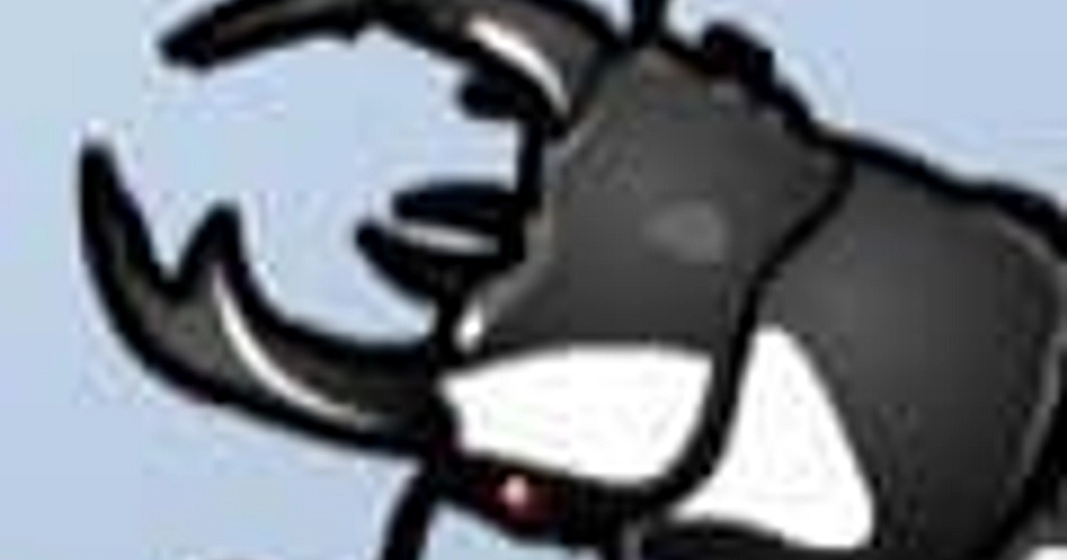 FWG Evolution - Free online games on Bgames.com!