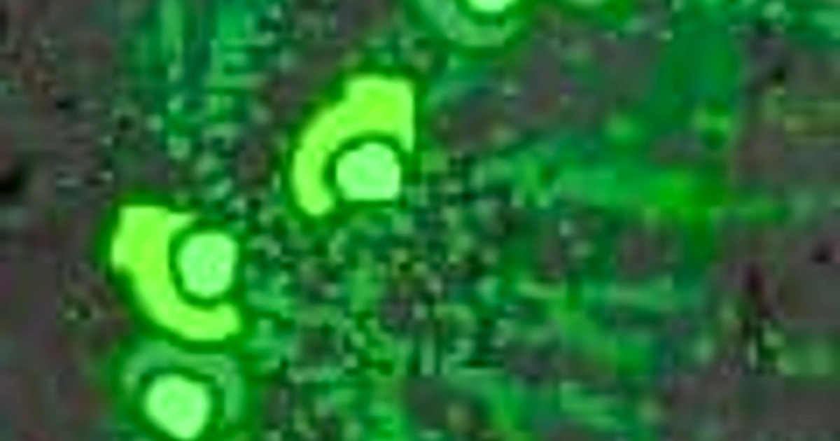 Sneeze - Free online games on Bgames.com!